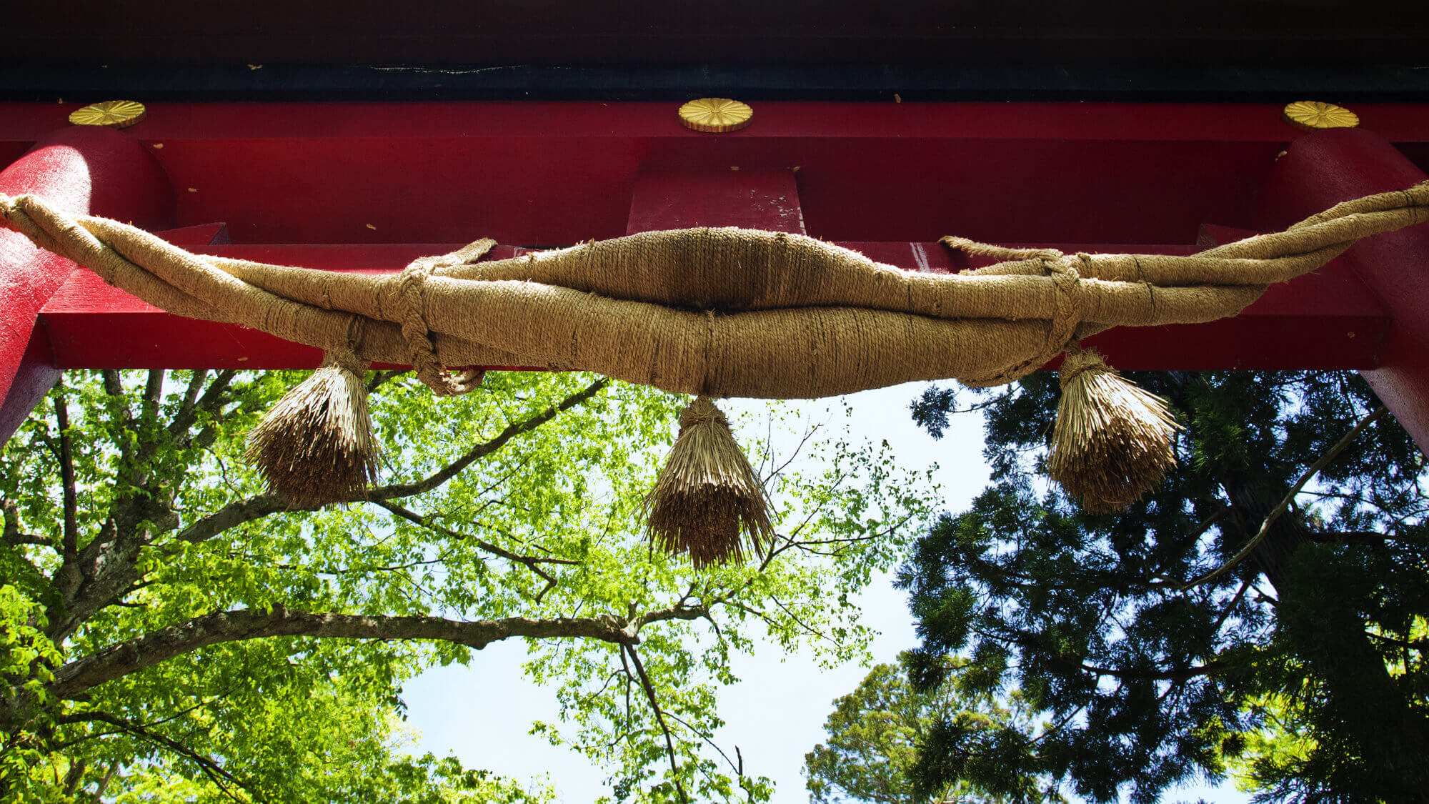 Index of /assets/img/backgrounds/